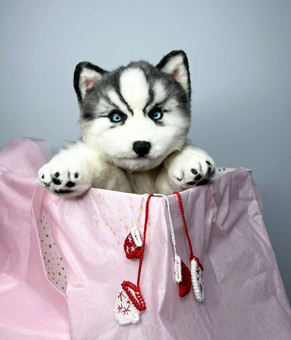 Realistic Husky Plush – Soft, Lifelike and Cuddly! Perfect Gift for Dog ...