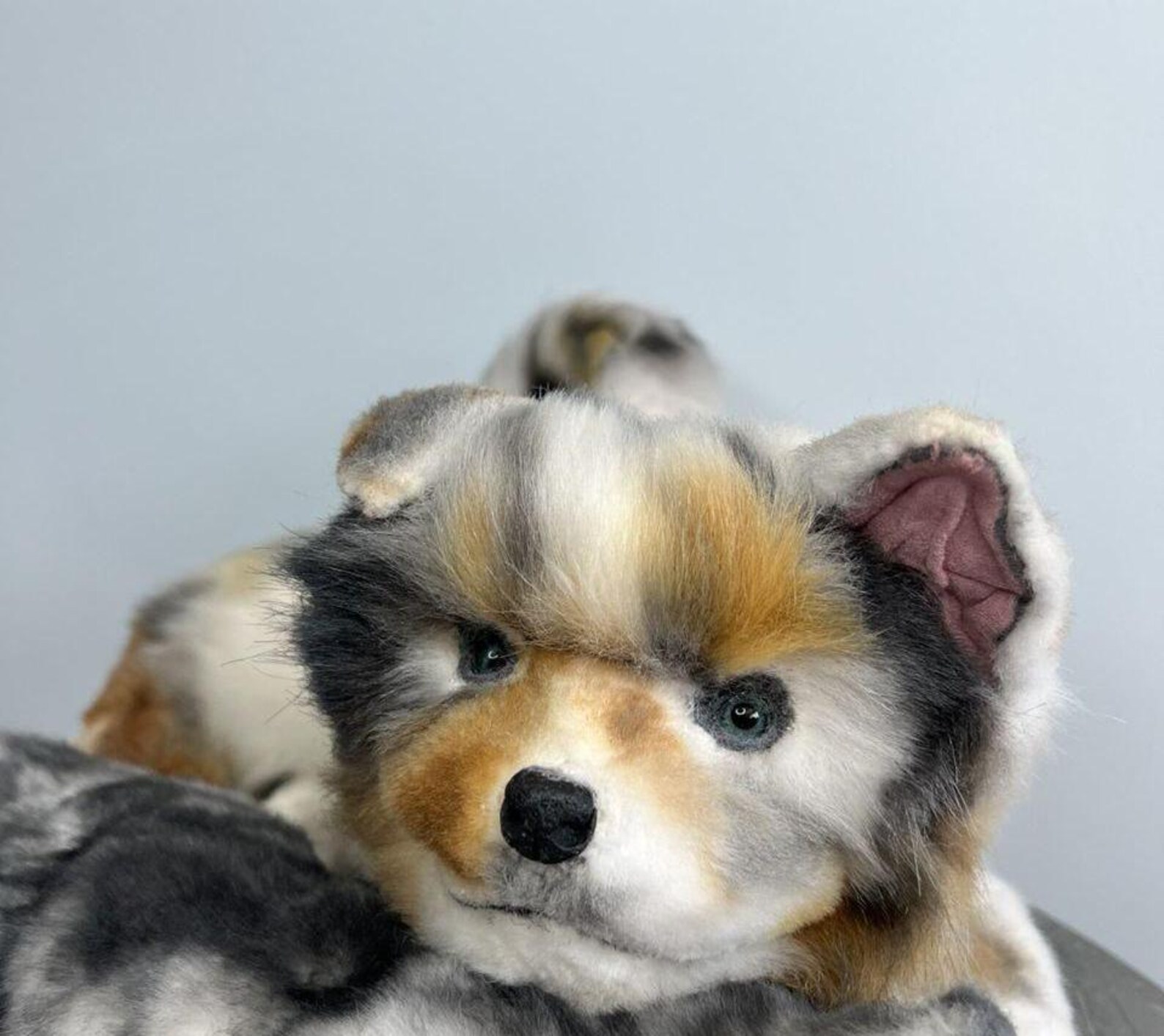 Australian Shepard Aussie Plush Stuffed Animal Toy, Personalized Gift ...