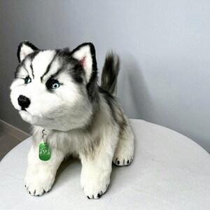 Realistic Husky Plush – Soft, Lifelike and Cuddly! Perfect Gift for Dog ...