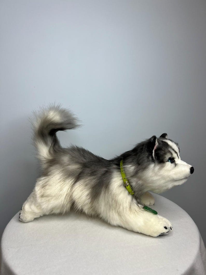 Realistic Husky Plush – Soft, Lifelike and Cuddly! Perfect Gift for Dog ...
