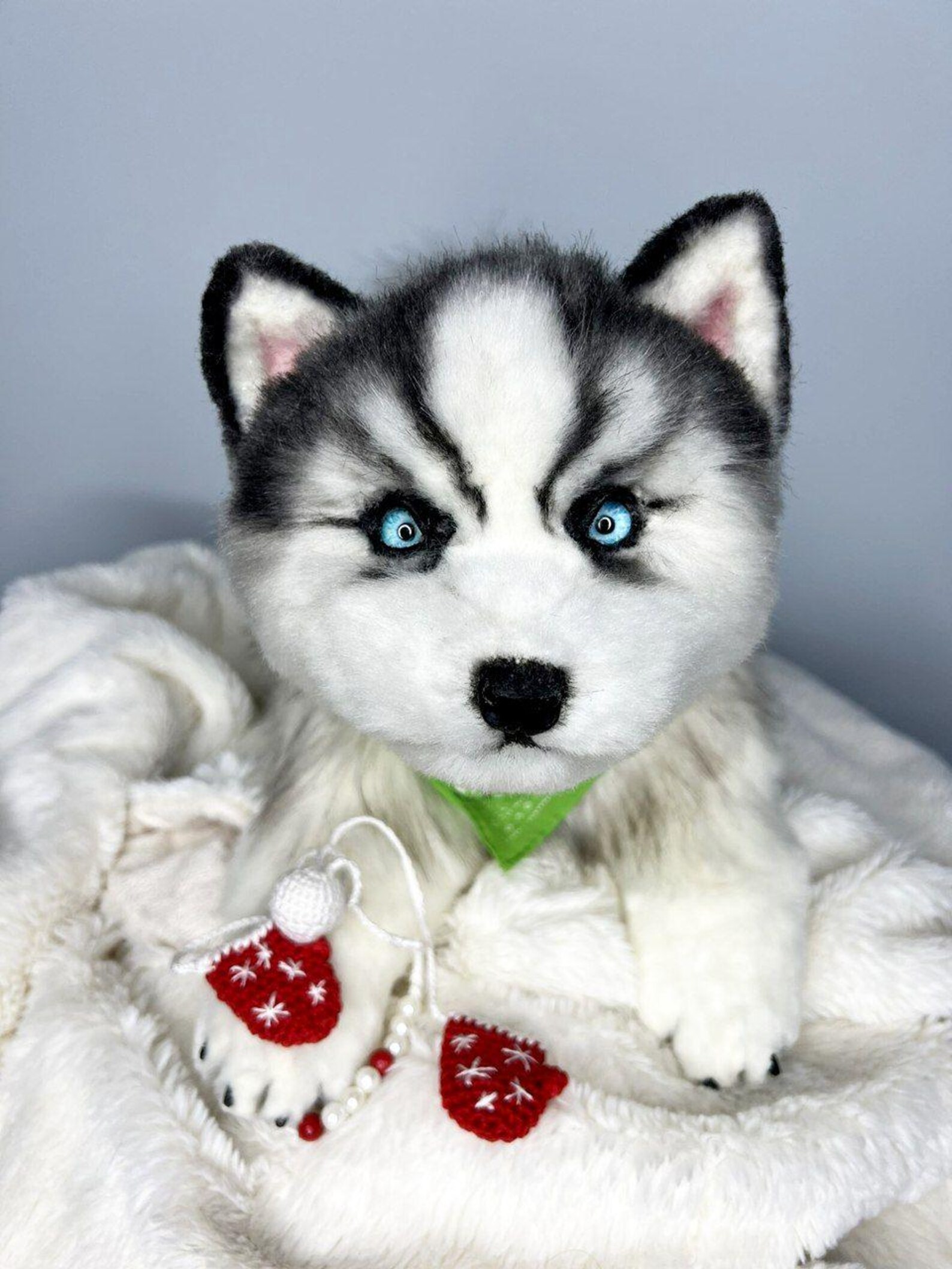 Realistic Husky Plush – Soft, Lifelike and Cuddly! Perfect Gift for Dog ...