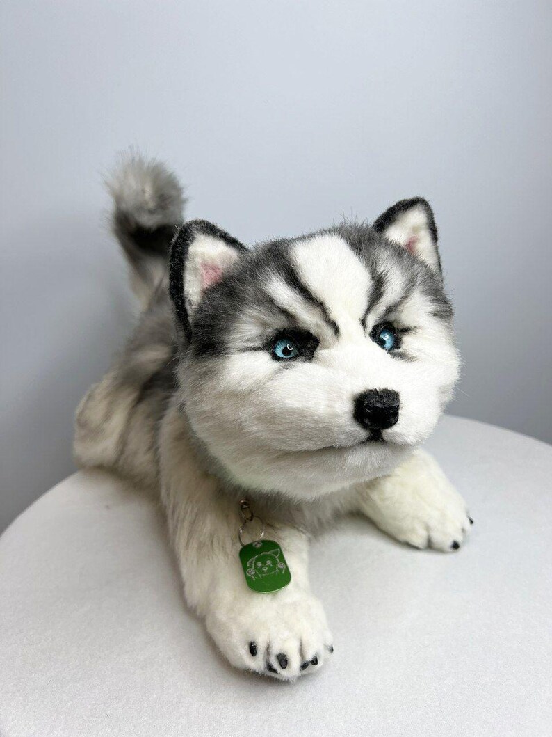 Realistic Husky Plush – Soft, Lifelike and Cuddly! Perfect Gift for Dog ...