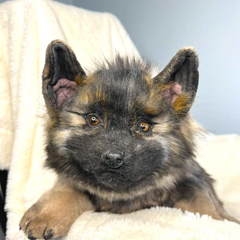 Essa Dog Plush - Etsy