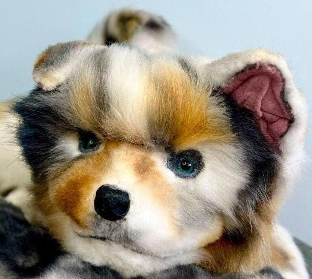 Australian Shepard Aussie Plush Stuffed Animal Toy, Personalized Gift ...