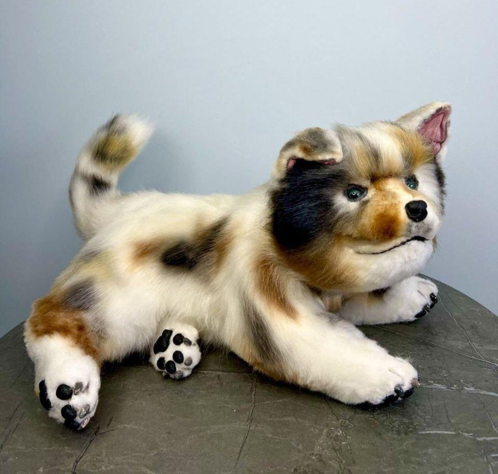 Australian Shepard Aussie Plush Stuffed Animal Toy, Personalized Gift ...