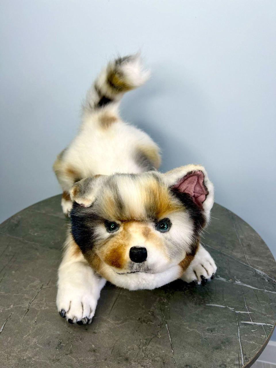 Australian Shepard Aussie Plush Stuffed Animal Toy, Personalized Gift ...