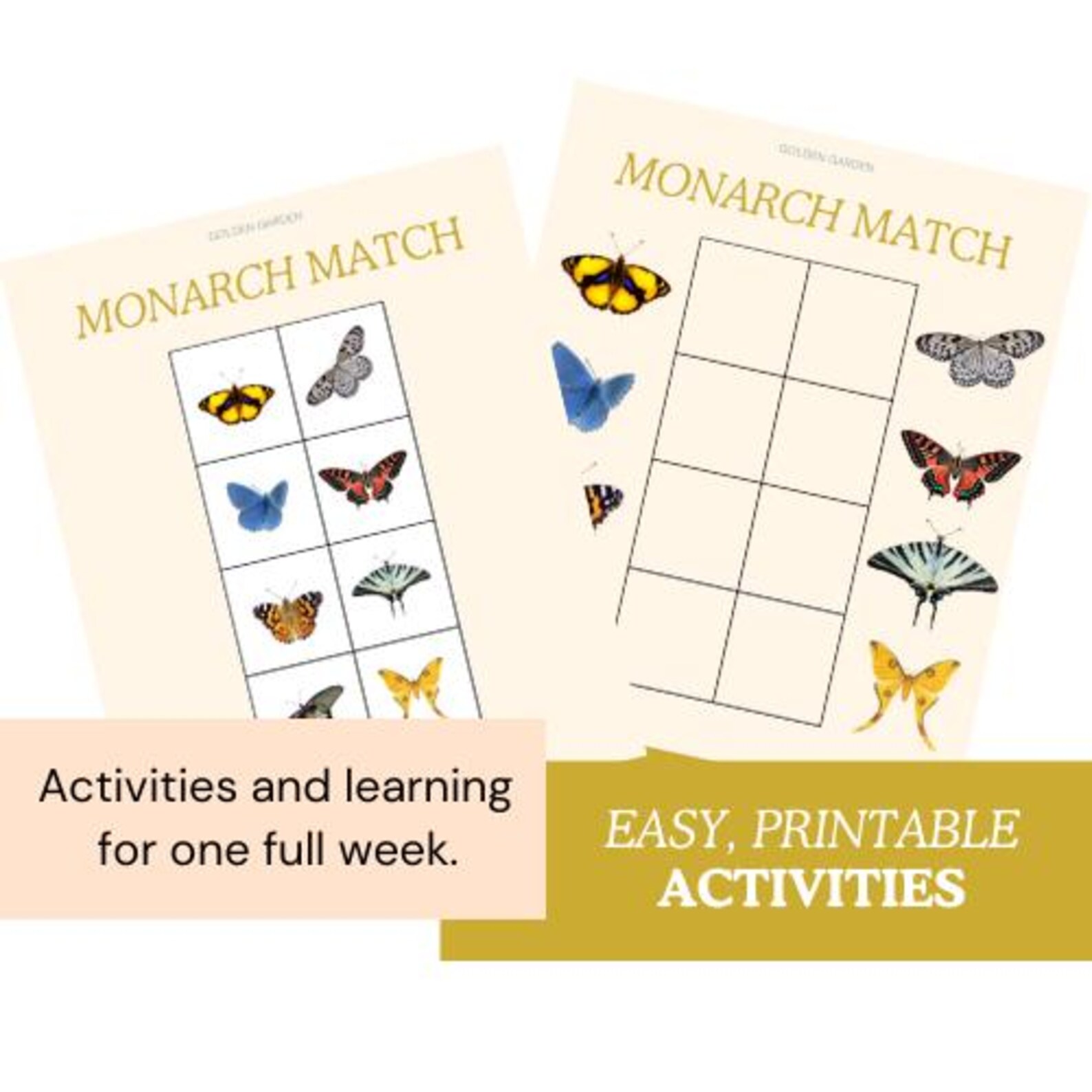 Butterflies Unit Study Preschool Homeschool Curriculum, Montessori ...