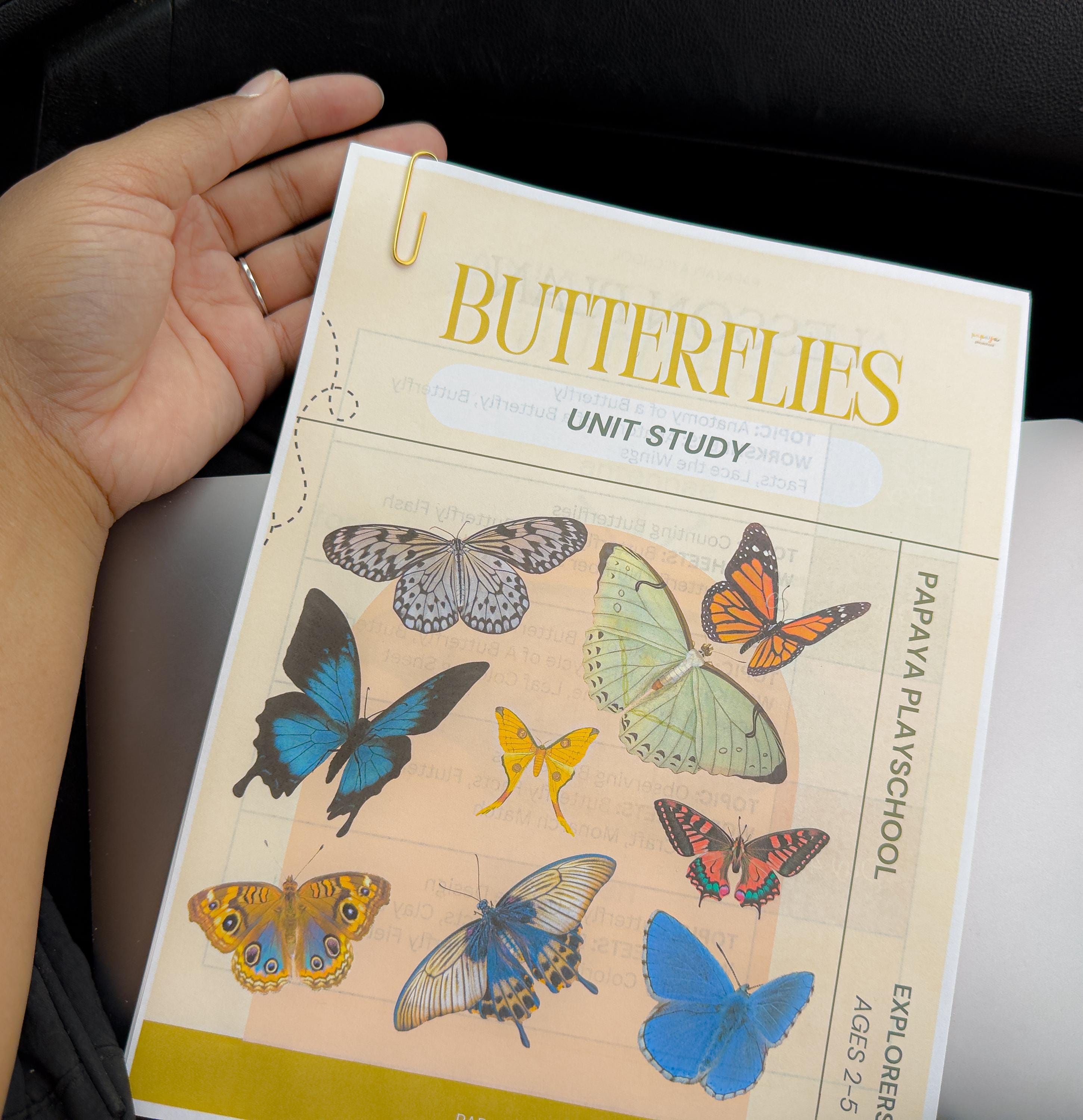 Butterflies Unit Study Preschool Homeschool Curriculum, Montessori ...