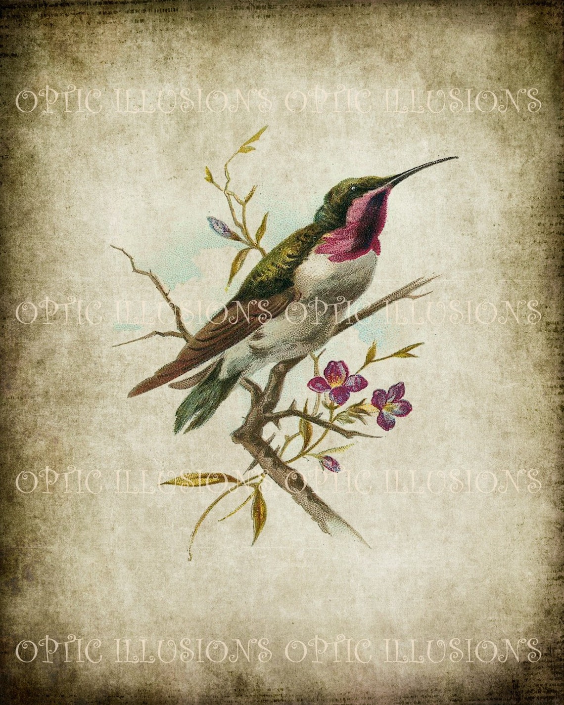 Printable Digital Picture INSTANT DOWNLOAD Vintage Bird - Etsy
