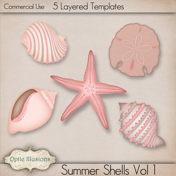 Summer Shells 5 Layered Shell Templates Commercial Use | Etsy