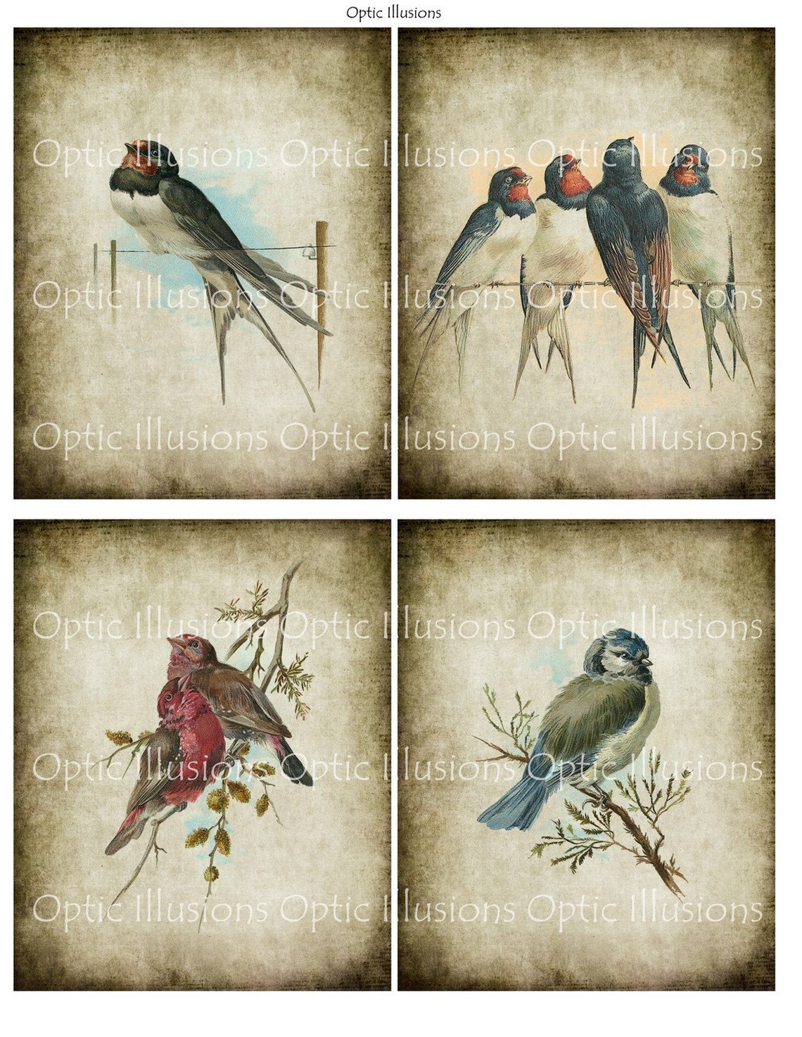 Vintage Bird Illustrations INSTANT DOWNLOAD Set of 12 - Etsy
