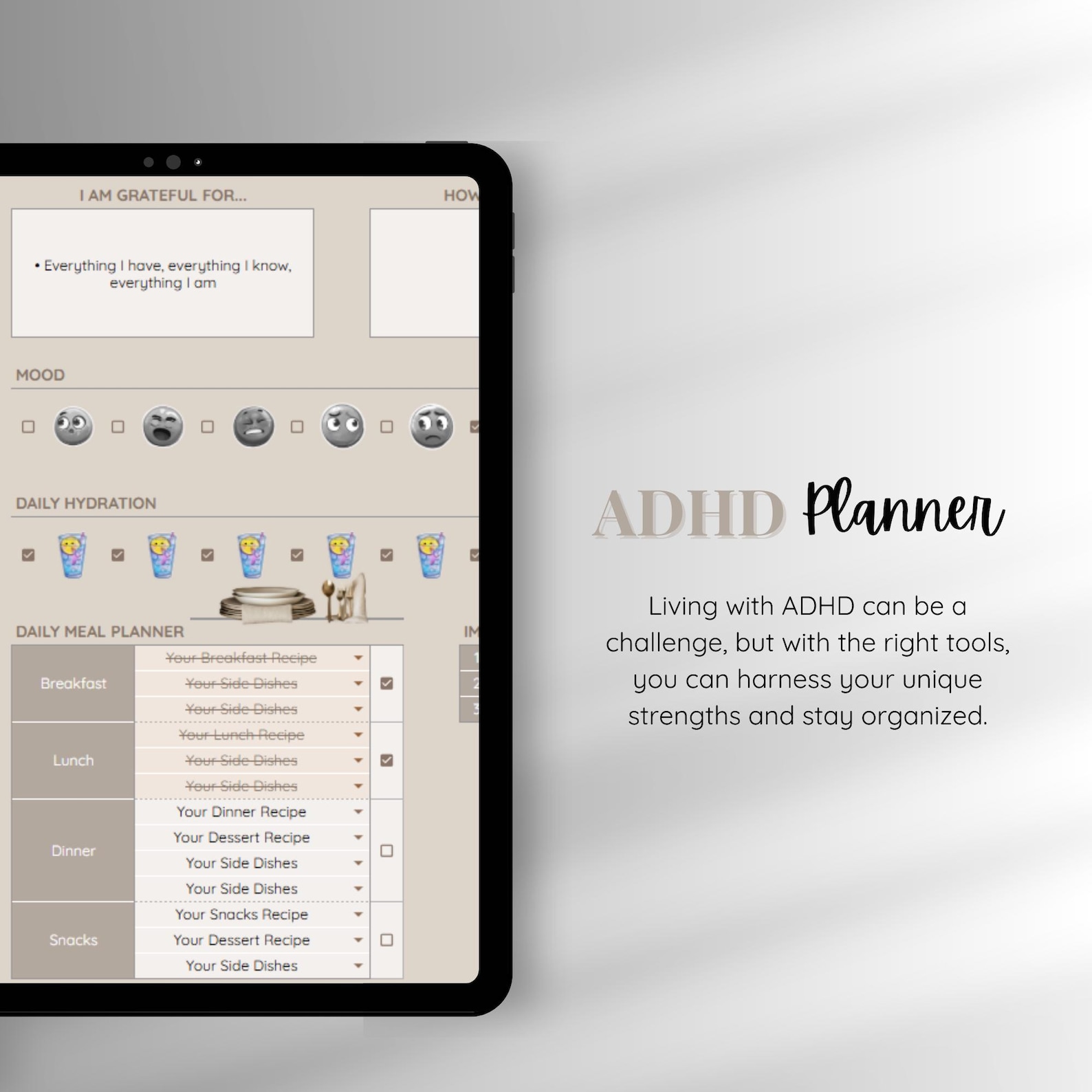 ADHD Digital Life Planner Adult Spreadsheet ADHD Daily Worksheets ...