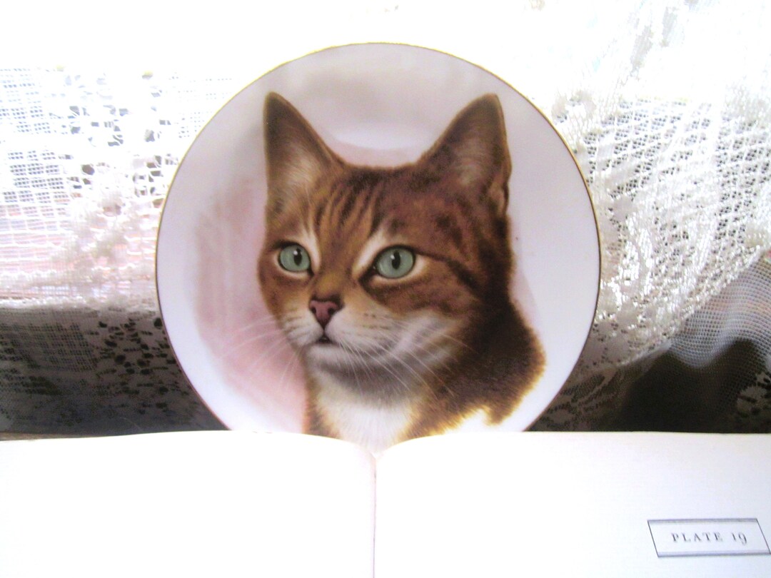 Vintage Cat Trinket Dish, 1960s 70s Orange Tabby Transfer Ware, Cat ...