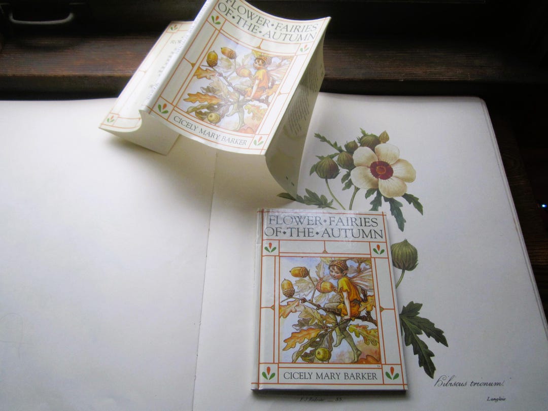 Flower Fairies of the Autumn, Cicely Mary Barker, 1990 First ...