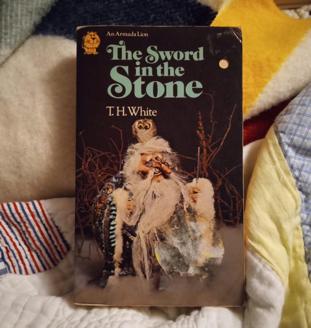 The Sword in the Stone by T.H. White 1970s Merlin the Magician King ...