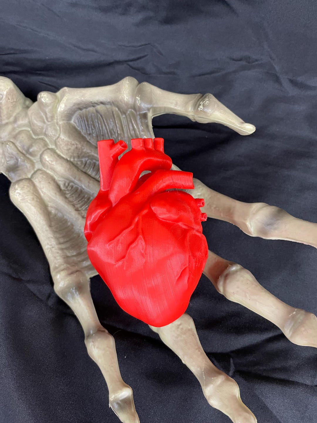 6' Skeleton Hearts - 3D Printed Hearts - Etsy