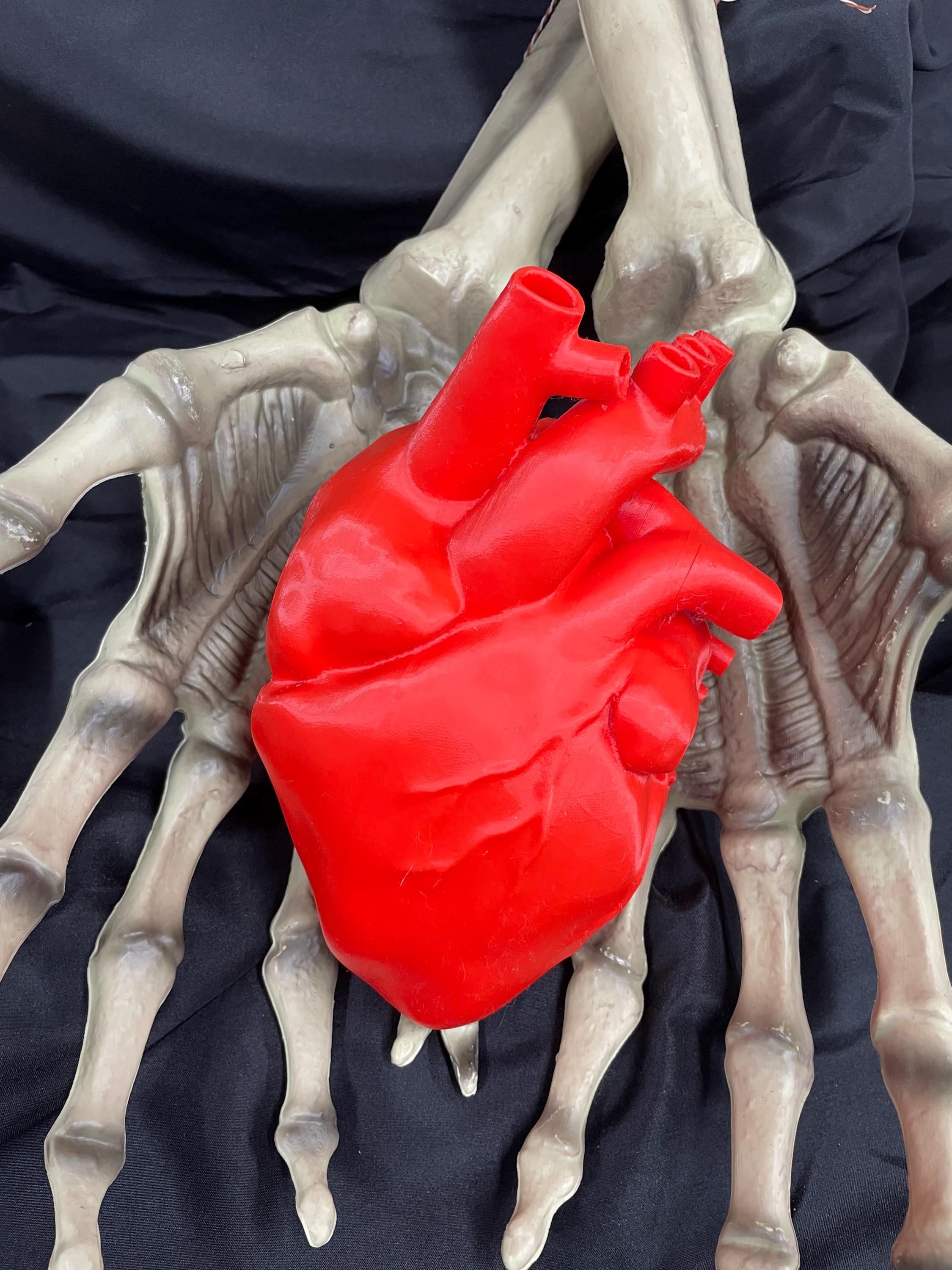 12' Skeleton Hearts - 3d Printed Hearts - Etsy