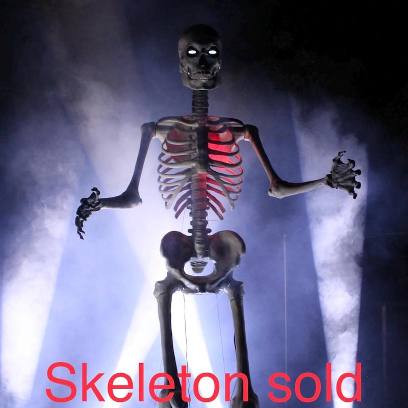 12 Ft Skeleton Costume - Etsy