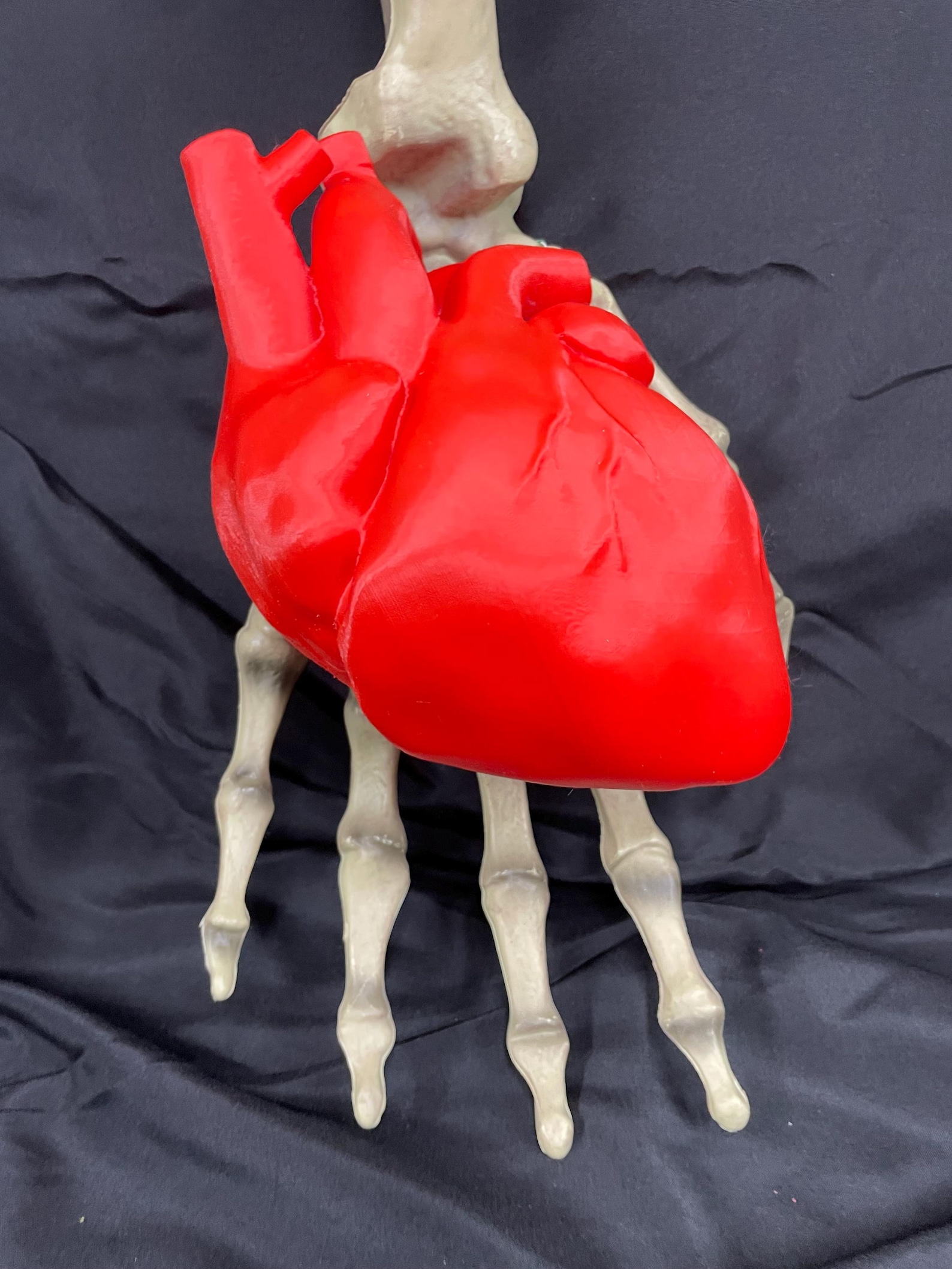 12' Skeleton Hearts - 3d Printed Hearts - Etsy