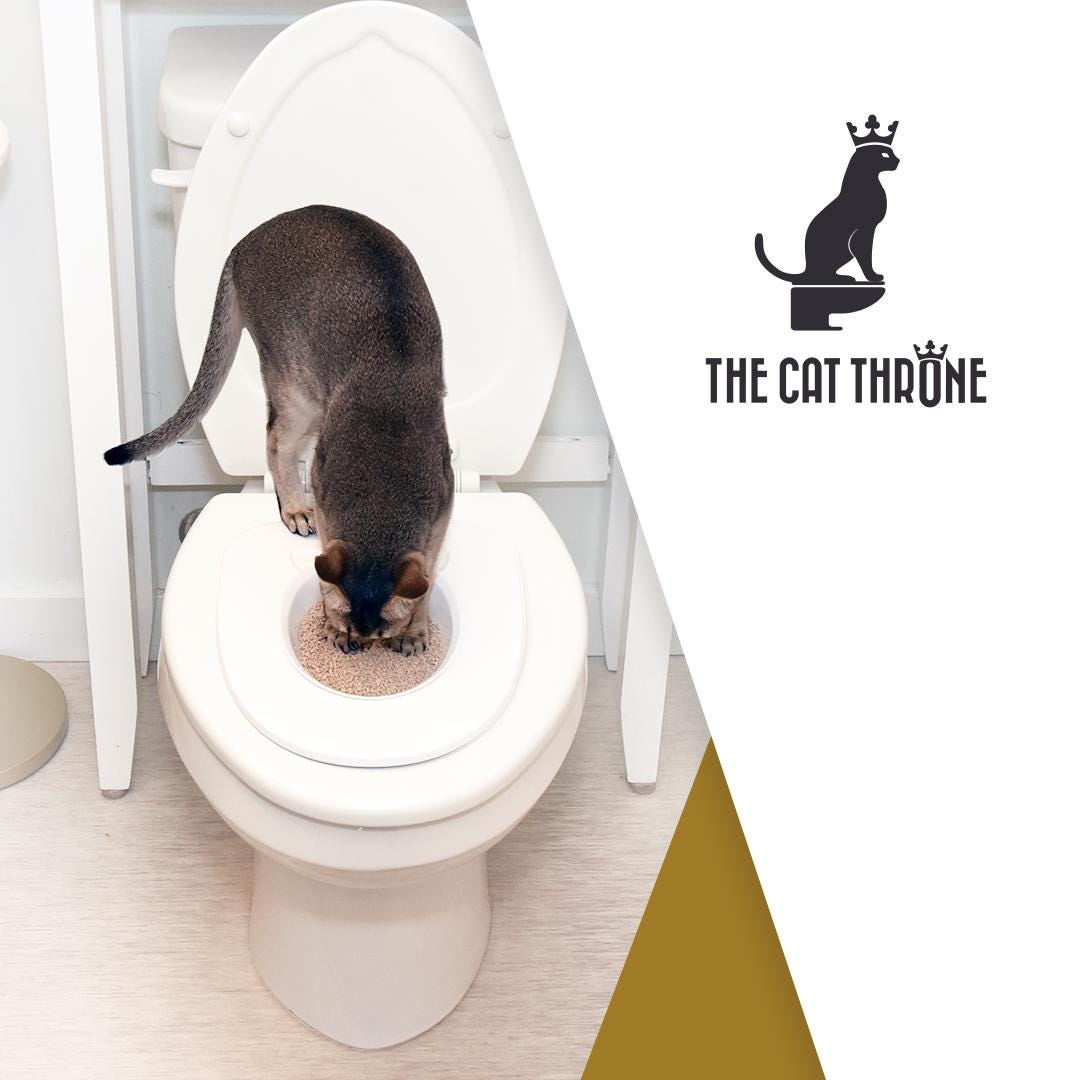 The First Humane, Premium All-inclusive Toilet Training Kit for CATS - Etsy
