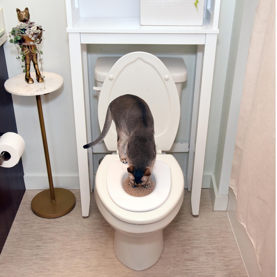 A Premium Cat Toilet Training Kit! Includes a Custom Designed Toilet ...