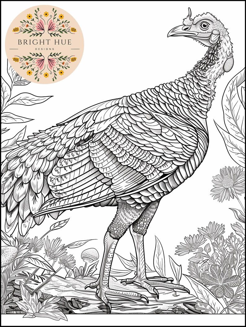 Printable Fall Turkey Coloring Sheet Thanksgiving Activity - Etsy