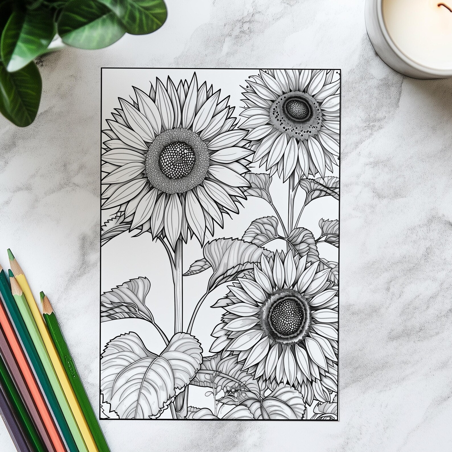 Botanical Blossoms Coloring Page Hand-drawn Printable Art - Etsy