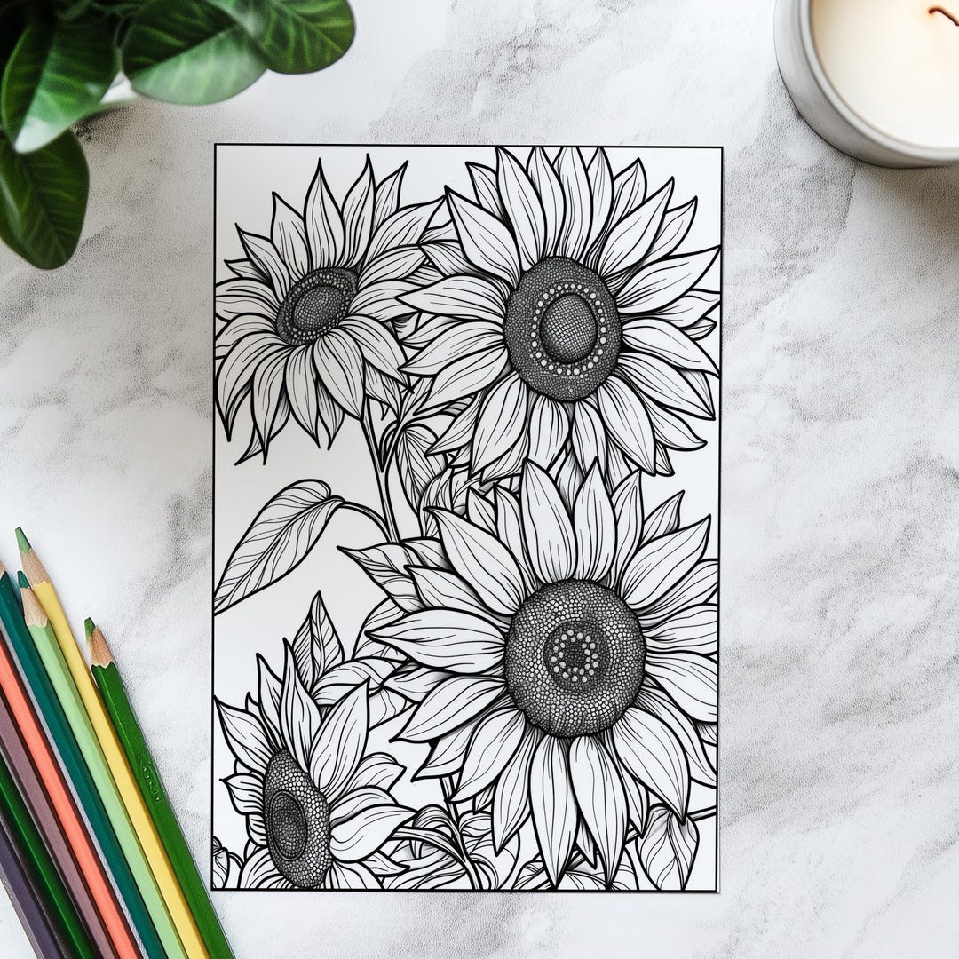Sunflower Blooms Coloring Page DIY Floral Craft - Etsy