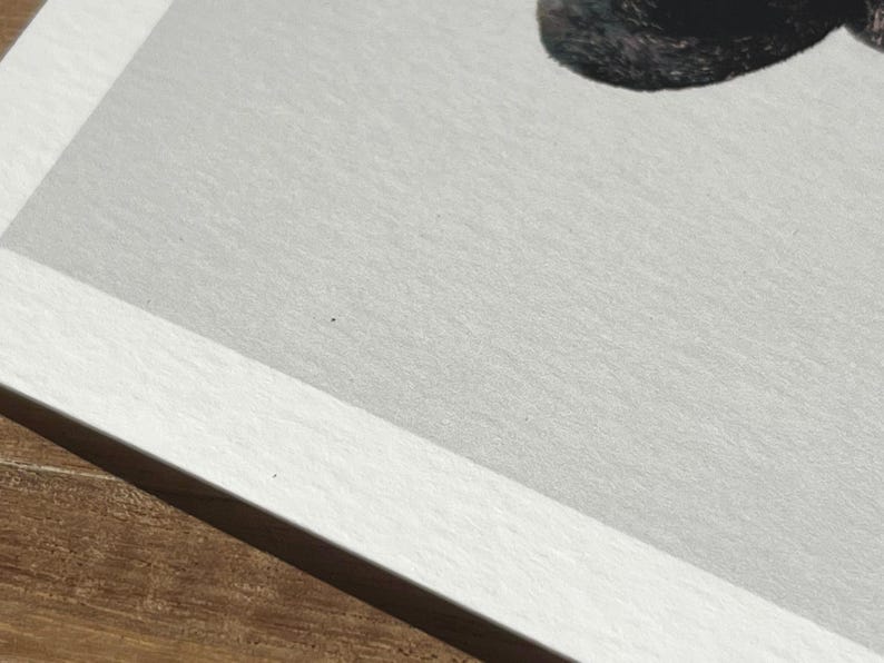 Female Alear Trans Pride Fire Emblem Engage Fine Art Print - Etsy