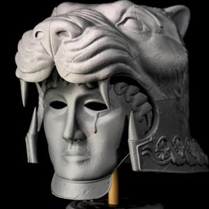 Gladiator Tigris of Gaul Helmet DIY Kit 3D Printed- Galactic Armory - Etsy
