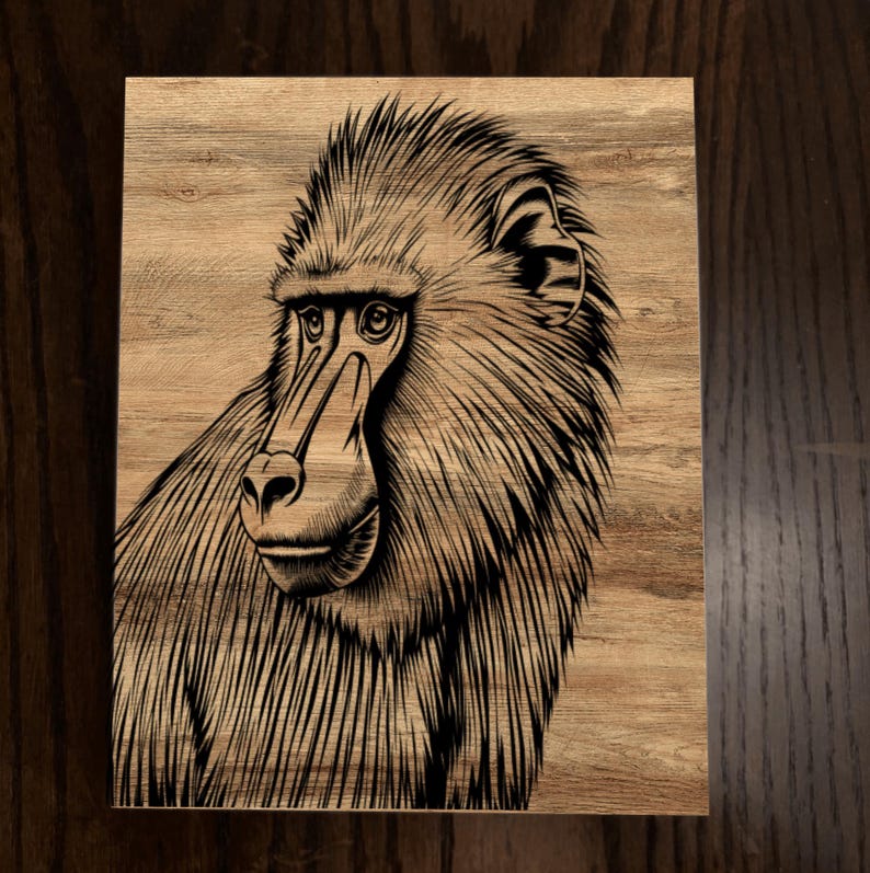 Safari Wood Burning Stencil Bundle of 50, Traceable Pyrography, Eagles ...