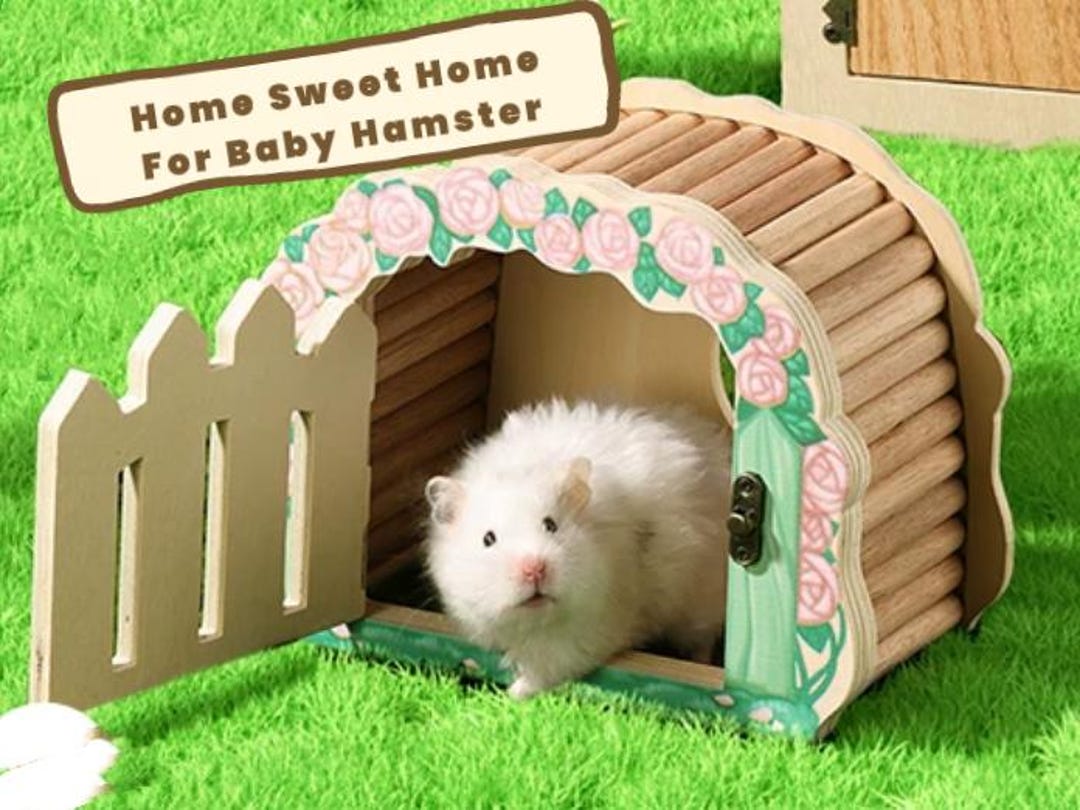DIY Cute Hamster House - Etsy