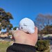 Love and Deepspace Zayne Snow Seal Crochet Plushie Keychain - Etsy