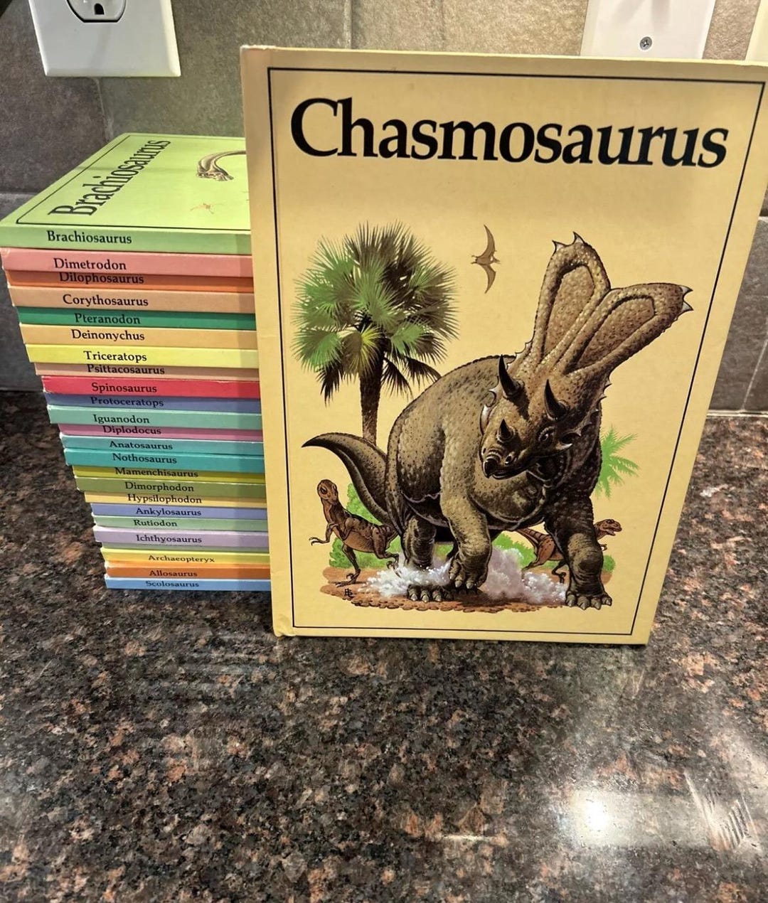 Vintage Dinosaur Library Book Lot 25 Hardcover Books Rourke Publishing ...