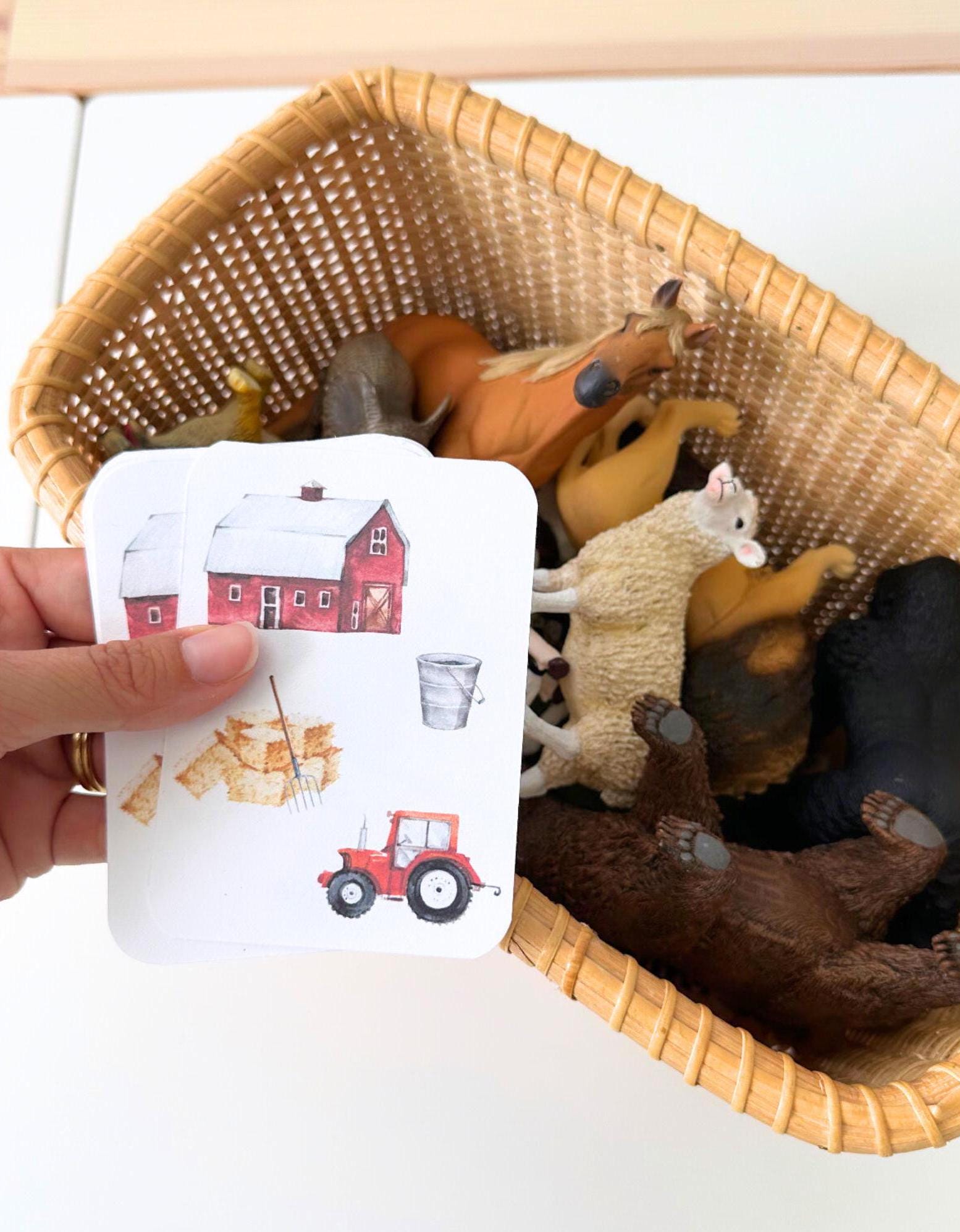 Farm Animal Cards (real Photos) | Montessori Flash Cards | Teaching ...