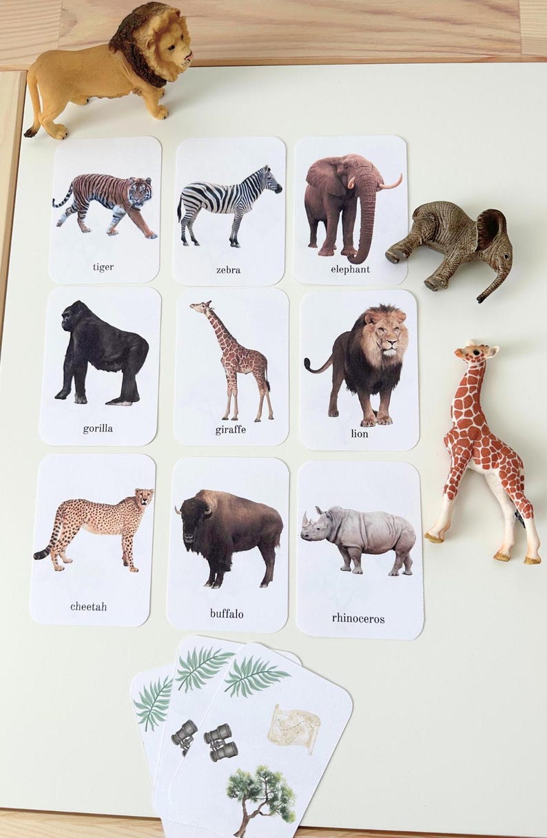 Safari Wild Animal Cards real Photos Montessori Flash Cards Teaching ...
