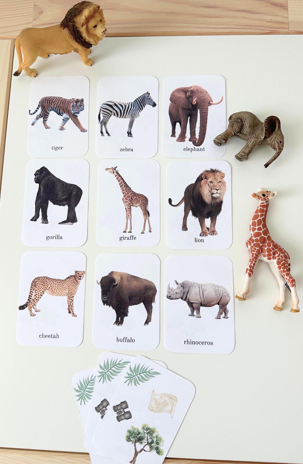 Safari Wild Animal Cards (real Photos) | Montessori Flash Cards ...