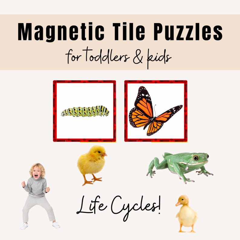 Magnetic Tile LIFE CYCLE Puzzles (real Photos) | Montessori Toddler ...