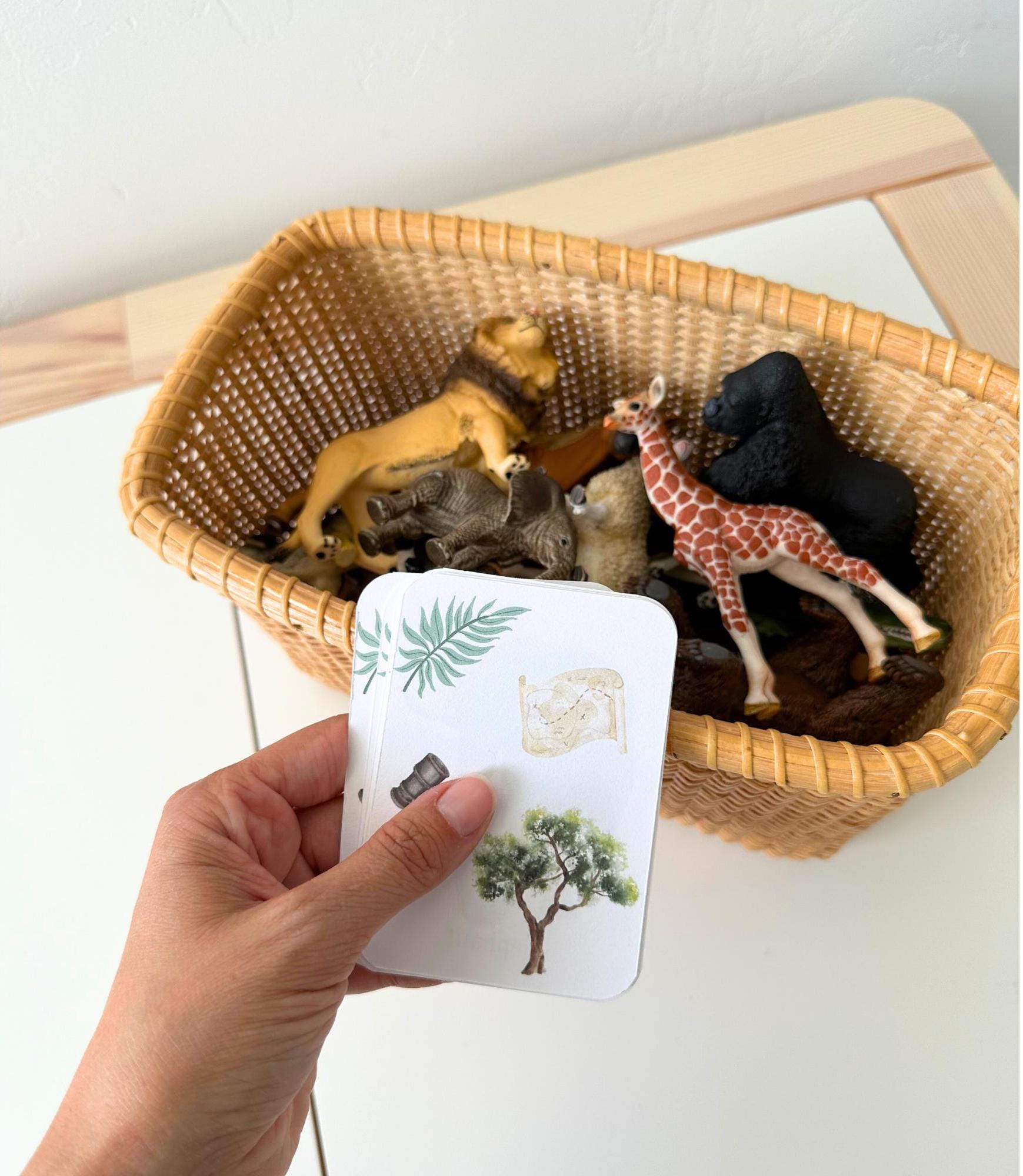 Safari Wild Animal Cards (real Photos) | Montessori Flash Cards ...