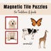 Magnetic Tile Animal Puzzles (real Photos) | Montessori Toddler ...