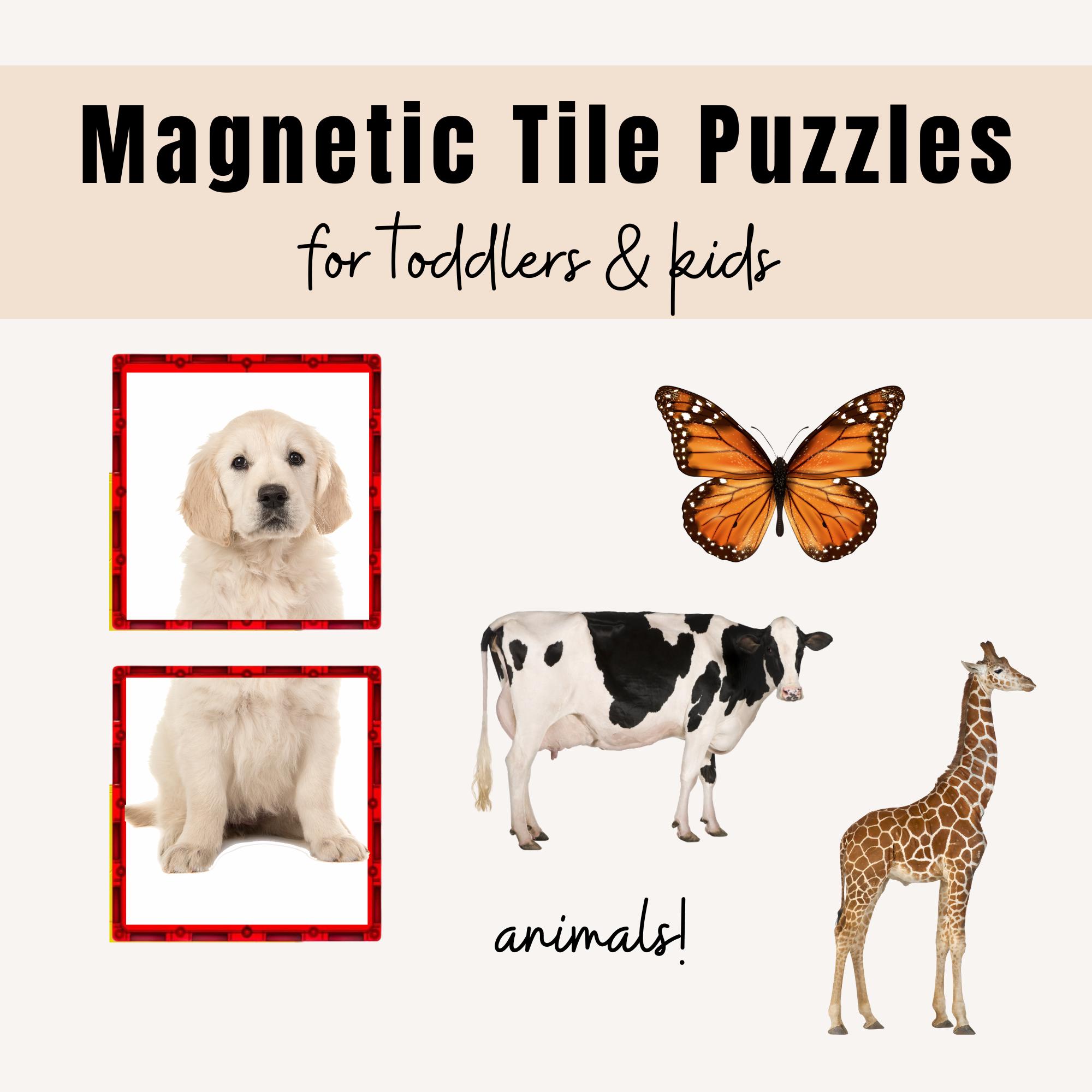 Magnetic Tile Animal Puzzles (real Photos) | Montessori Toddler ...