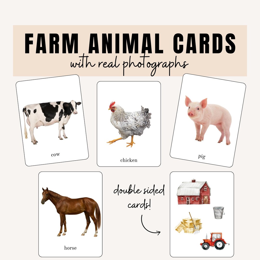 Farm Animal Cards (real Photos) | Montessori Flash Cards | Teaching ...