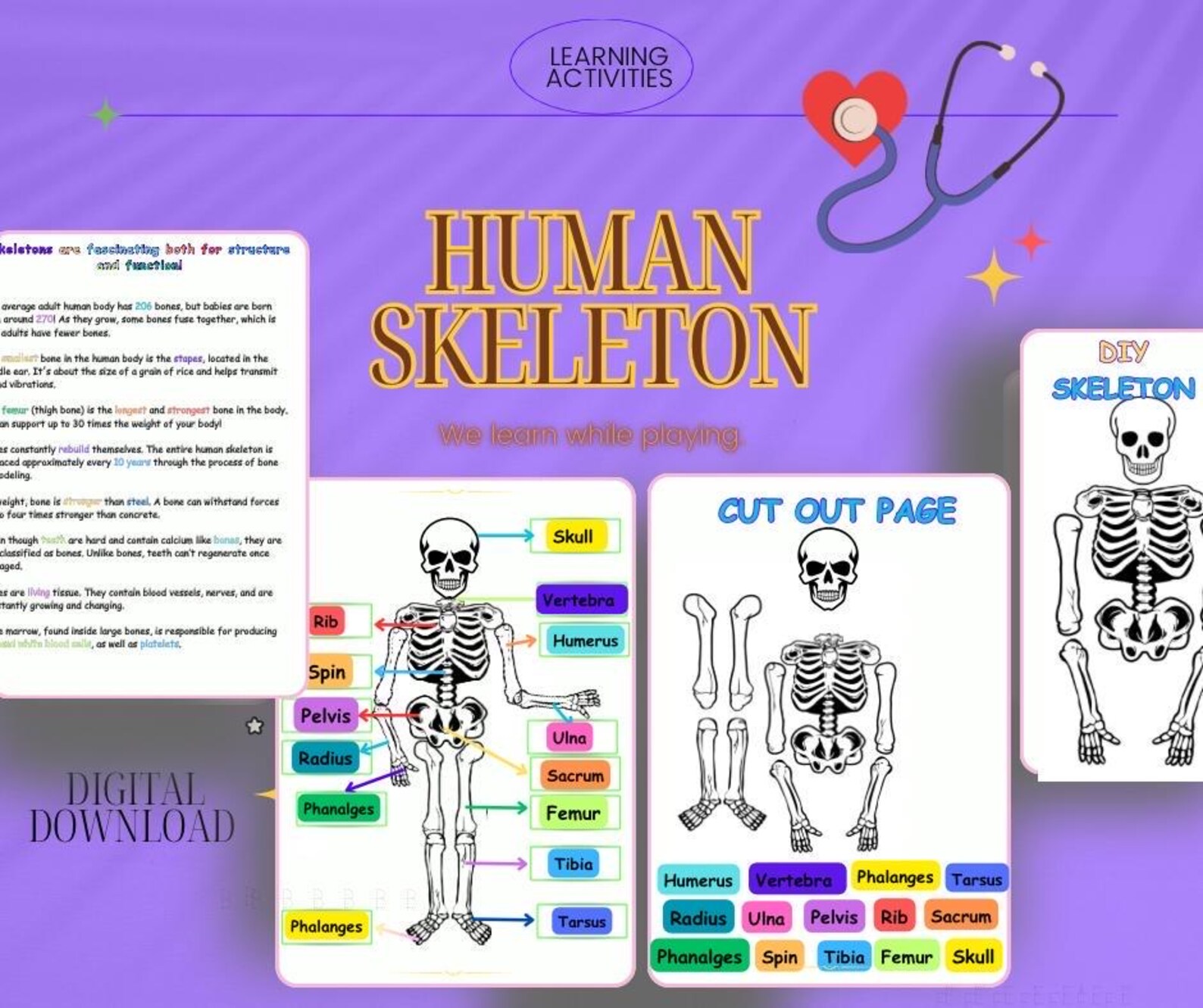 Human Skeleton Busy Book Page, Printable Montessori Materials, Kids ...