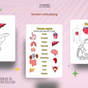 Human Body Organs, Human Body Coloring Pages, Human Anatomy, Coloring ...