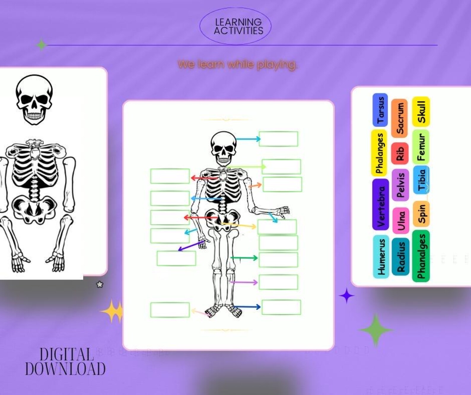 Human Skeleton Busy Book Page, Printable Montessori Materials, Kids ...