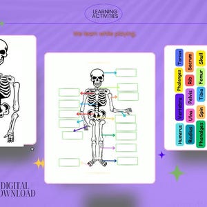 Human Skeleton Busy Book Page, Printable Montessori Materials, Kids ...