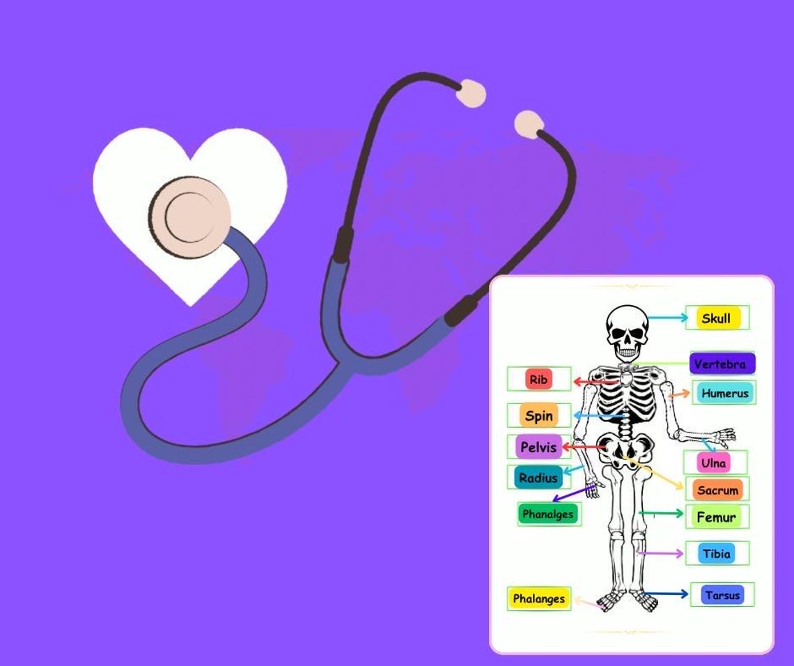 Human Skeleton Busy Book Page, Printable Montessori Materials, Kids ...