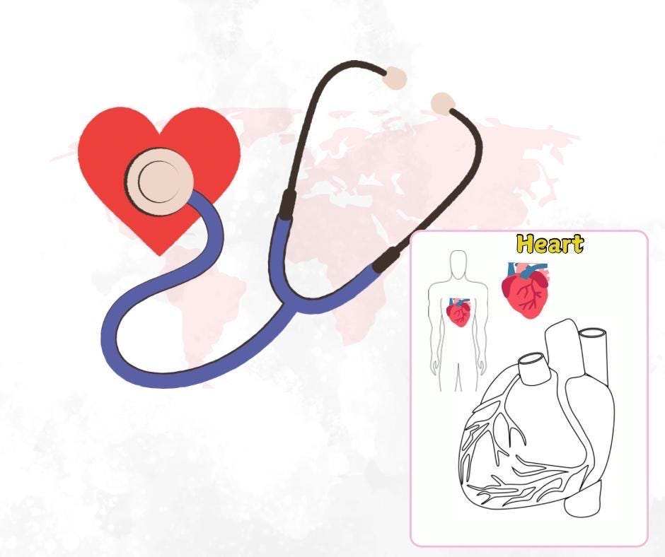 Human Body Organs, Human Body Coloring Pages, Human Anatomy, Coloring ...