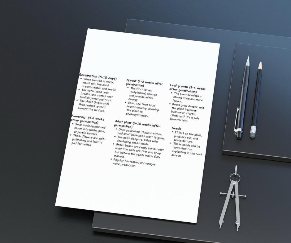 Life Cycle of a Plant Foldable, Science Lesson, Coloring Page Life ...