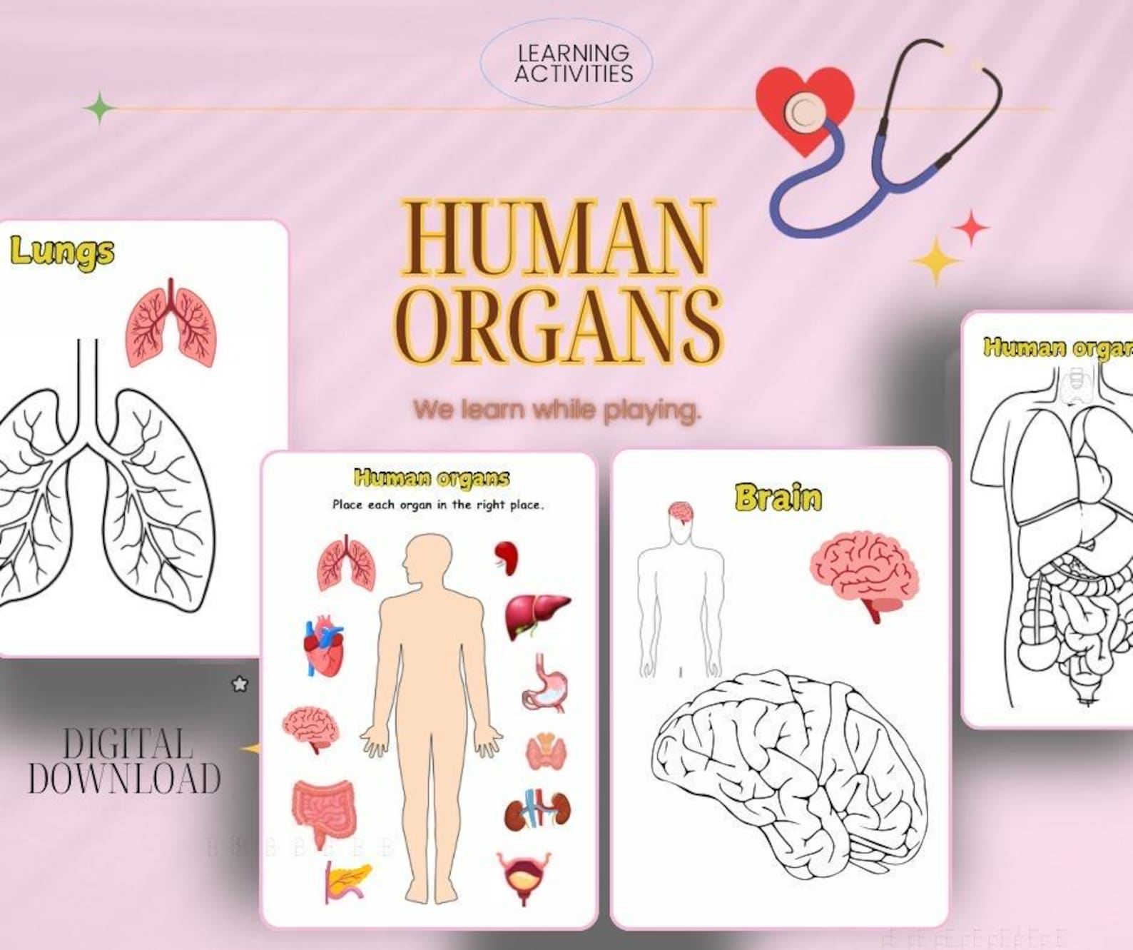 Human Body Organs, Human Body Coloring Pages, Human Anatomy, Coloring ...